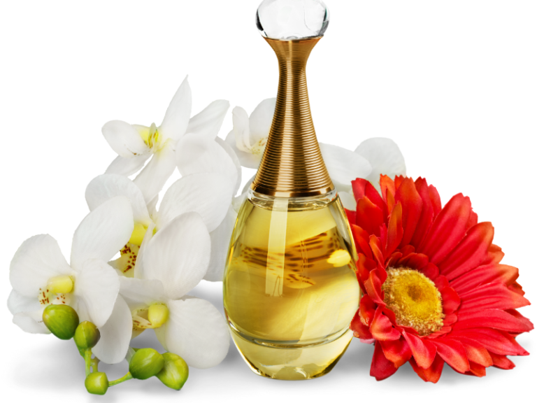 Botanical Perfumes: The Essential Guide for 2026