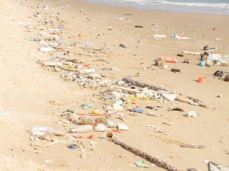 The 8 Worst Polluted Beaches In The World in 2026