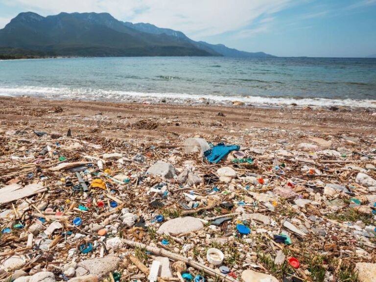 The 8 Worst Polluted Beaches In The World in 2026