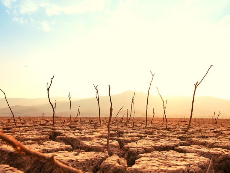 7 Famous Climate Change Scientists