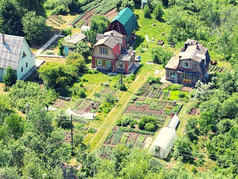 Designing a Permaculture Garden 101: Your Best & First Guide