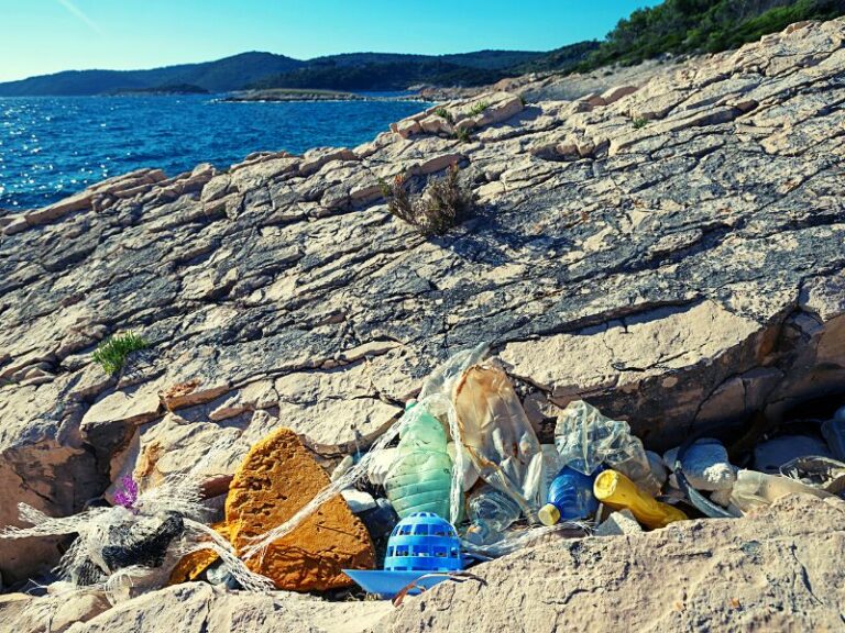 Great Pacific Garbage Patch: What You Need to Know to Save Our Oceans ...