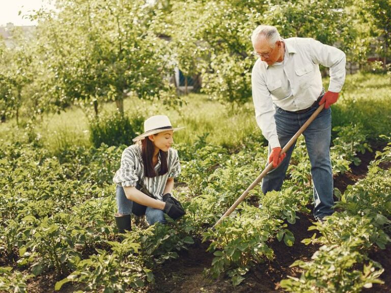 Best Advice to Master Sustainable Landscaping: Top 4 Principles