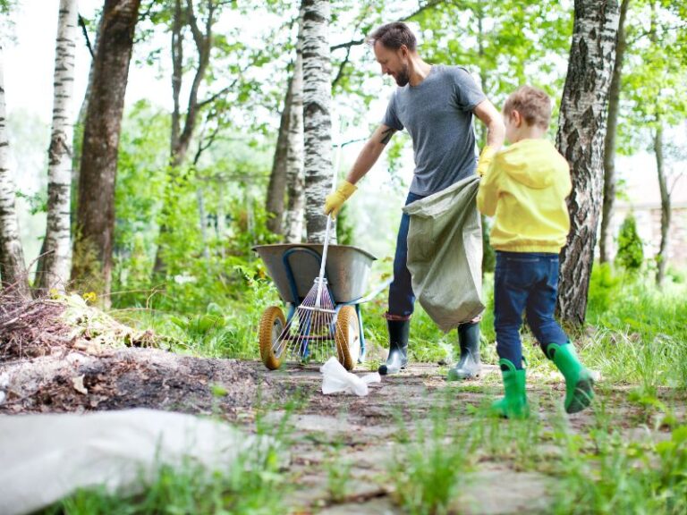 Top 10 Environmental Organizations Worldwide: Leading the Charge in ...