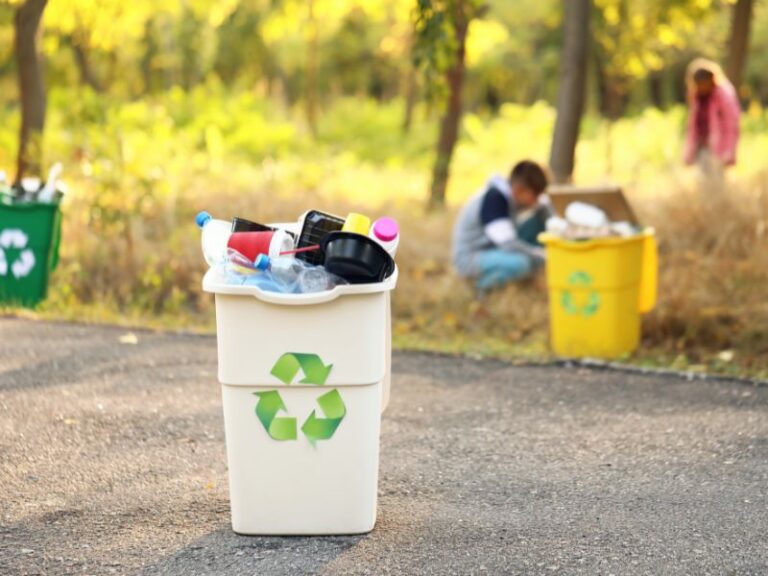 5 Fun Environmental Games: Good for You, Good for the Planet