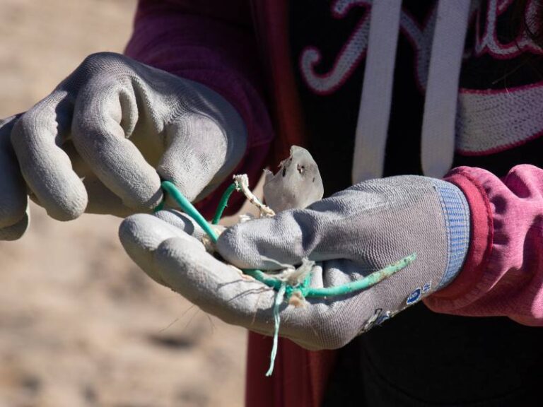 How Plastic Eating Bacteria Could Save Our Oceans