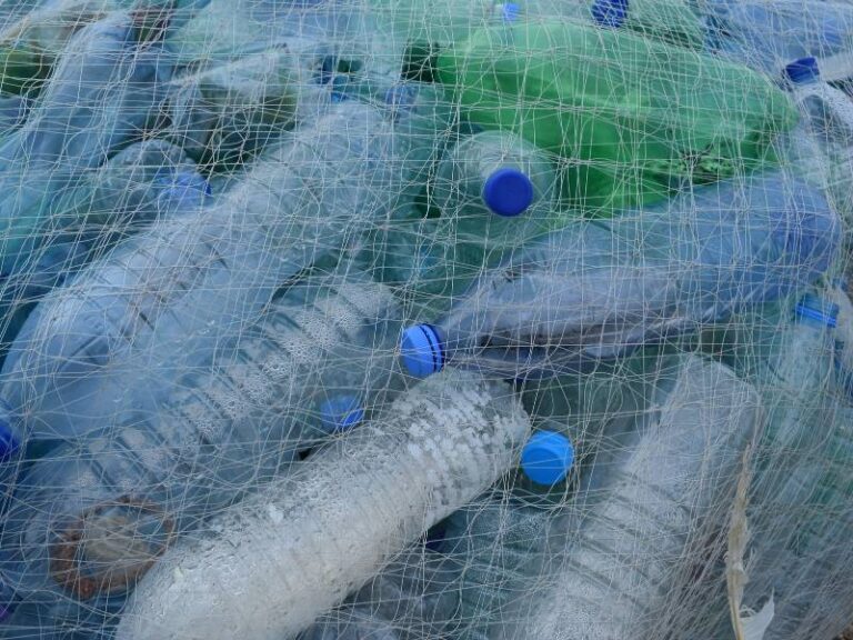 How Plastic Eating Bacteria Could Save Our Oceans