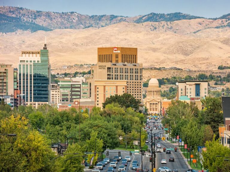Tree City USA: The Importance of Urban Forestry in 2025