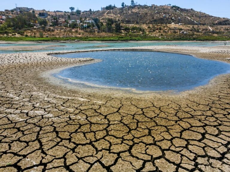 Top 5 Environmental Problems and Solutions