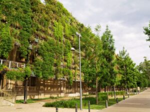 7 Benefits of Green Walls: A Sustainable Solution