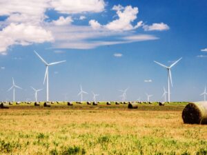 Top 10 Largest Wind Farms in the World: Nature's Power