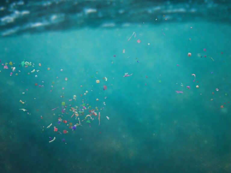 Alarming Pollution in Spain: Exploring its 7 Main Causes and Effects