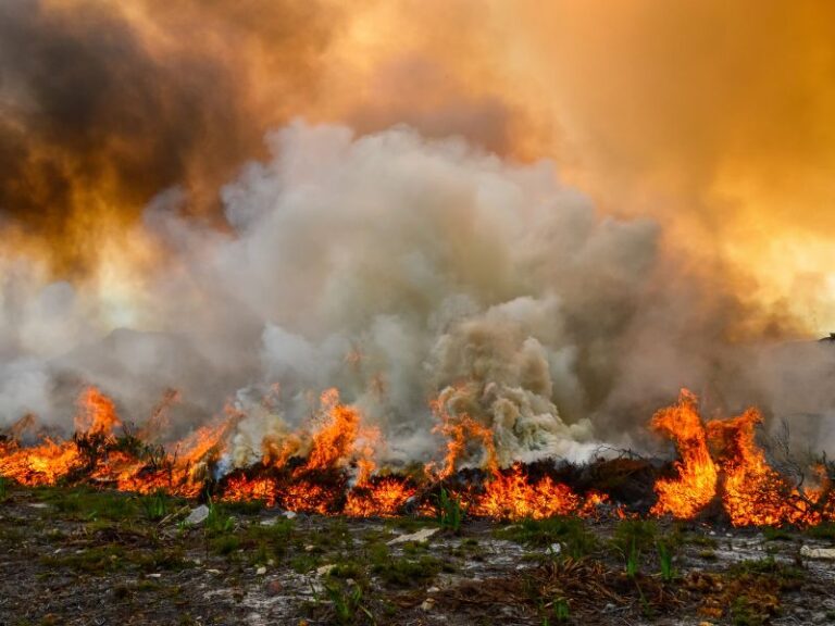 Top 10 Causes of Wildfires and How to Prevent Them
