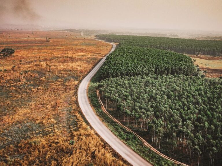 Top 8 Human Actions Worsen Natural Disasters: Ultimate Guide